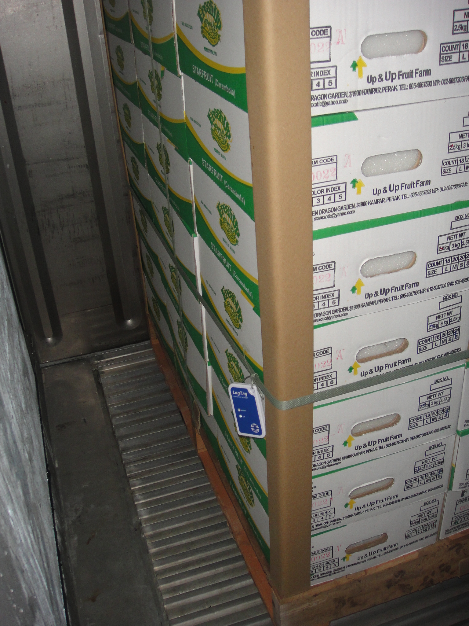 2022 Star Fruits Export to Europe, Reefer Container – Freightnet Worldwide