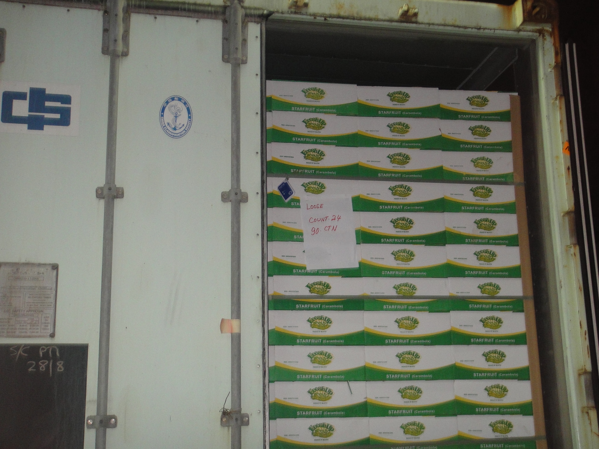 2022 Star Fruits Export to Europe, Reefer Container – Freightnet Worldwide